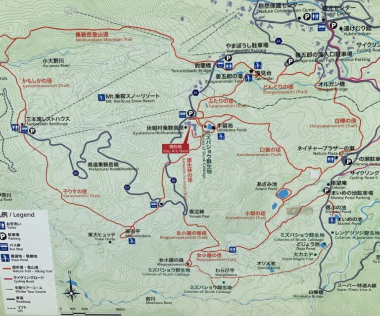 Practical Guide To Independent Snowshoeing In Japan | Betiful World