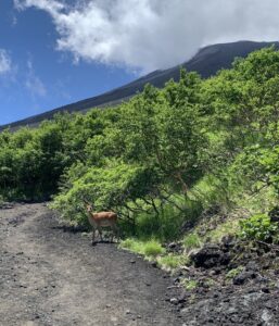 Climbing Mount Fuji | Subashiri Trail & Prince Route